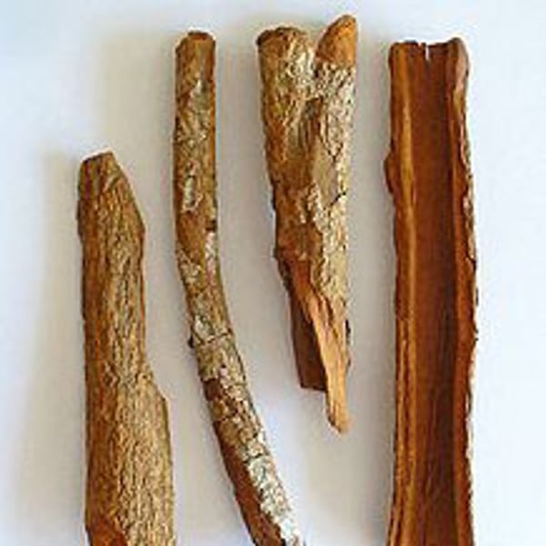 Helios Homeopathy - Shop - China officinalis