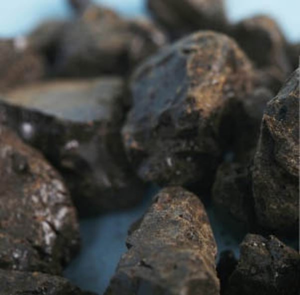 Helios Homeopathy - Shop - Guaiacum