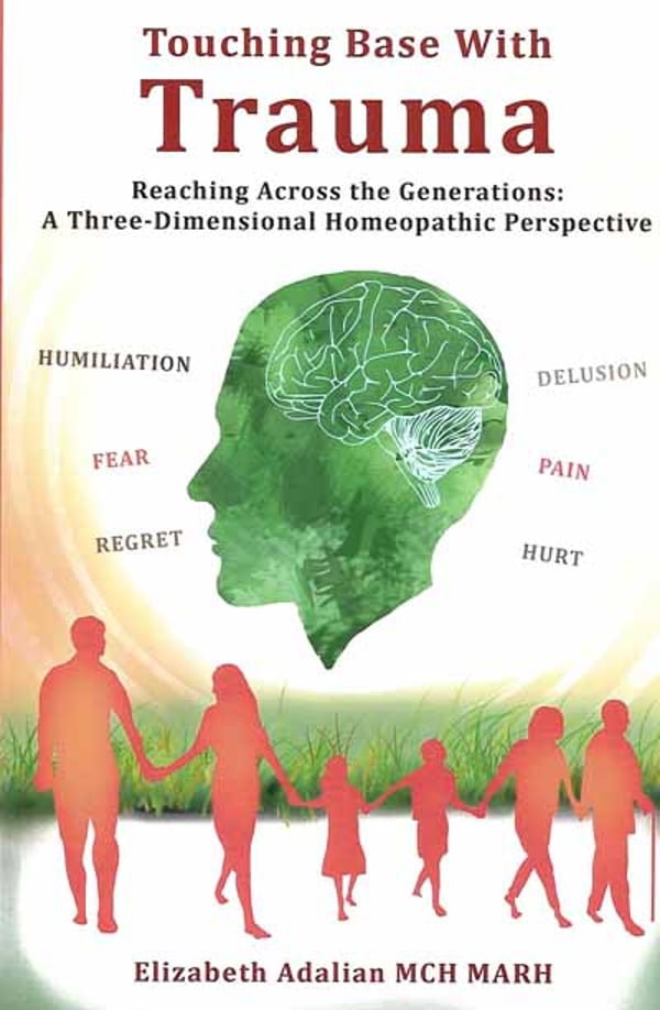 Helios Homeopathy - Shop - Touching Base With Trauma