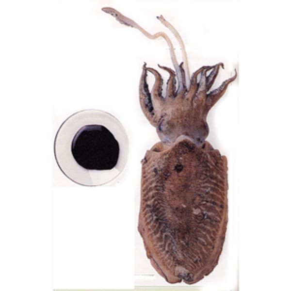 Helios Homeopathy - Shop - Sepia