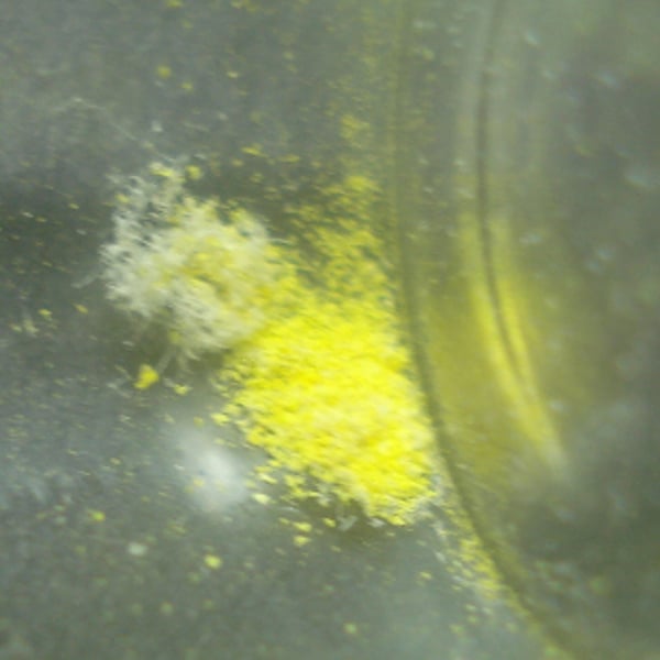 Helios Homeopathy - Shop - Uranium nitricum