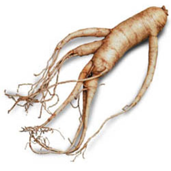 Helios Homeopathy - Shop - Ginseng