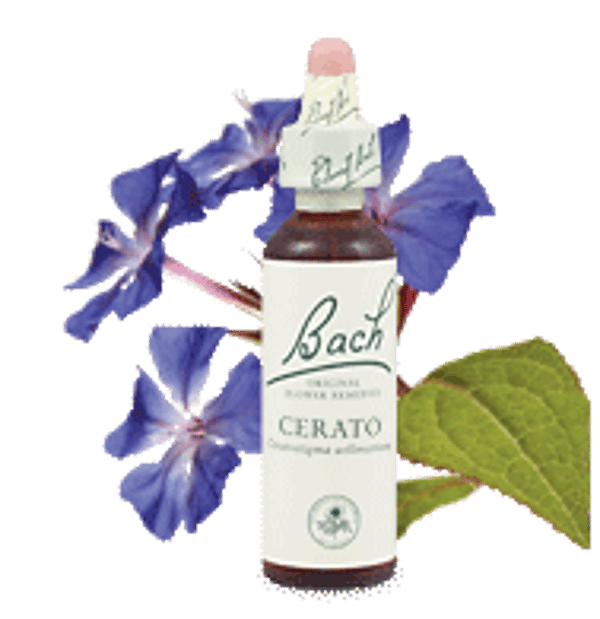 Helios Homeopathy - Shop - Bach Rem Cerato, 20ml