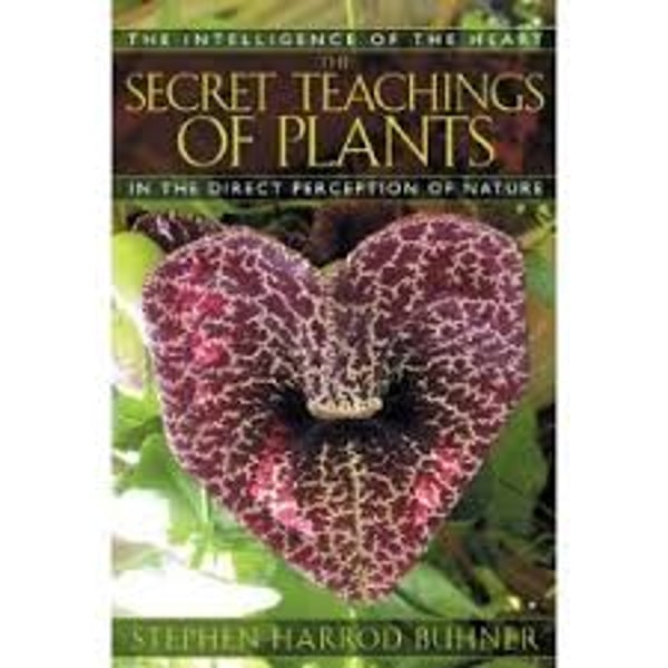 Helios Homeopathy - Shop - Secret Teaching Of Plants (The)