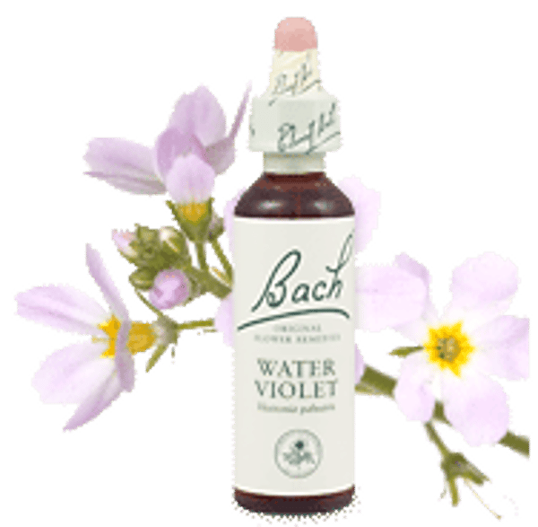 Helios Homeopathy - Shop - Bach Rem Water Violet, 20ml