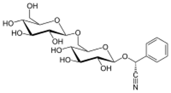 Helios Homeopathy - Shop - Amygdalin