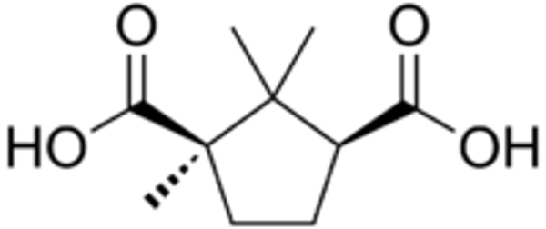 Helios Homeopathy - Shop - Camphoric Acid