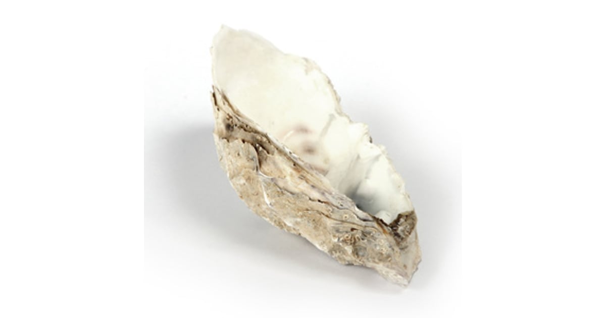 Helios Homeopathy - Shop - Calcarea carbonicum