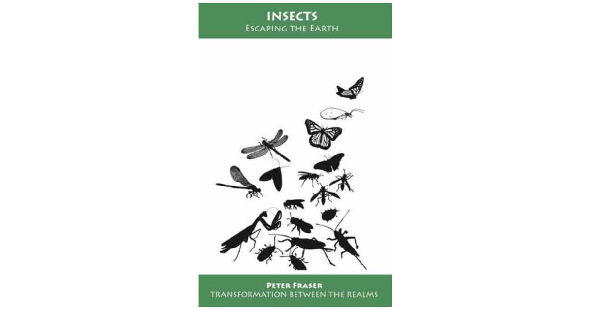 Helios Homeopathy - Shop - Insects - Escaping The Earth