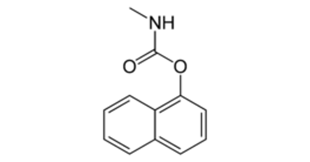 Helios Homeopathy - Shop - Carbaryl