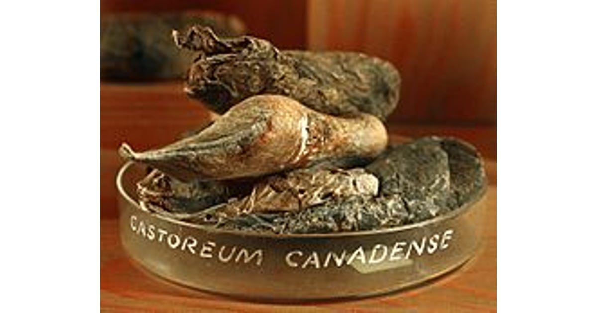 Helios Homeopathy - Shop - Castoreum