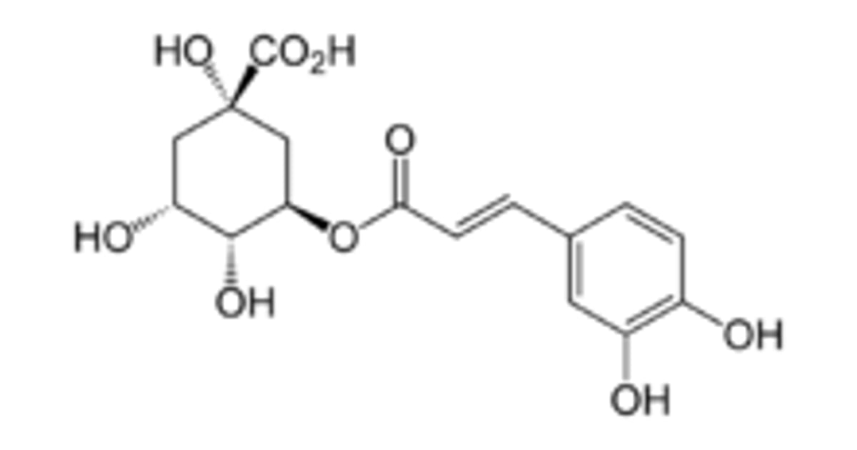 Helios Homeopathy - Shop - Chlorogenic Acid